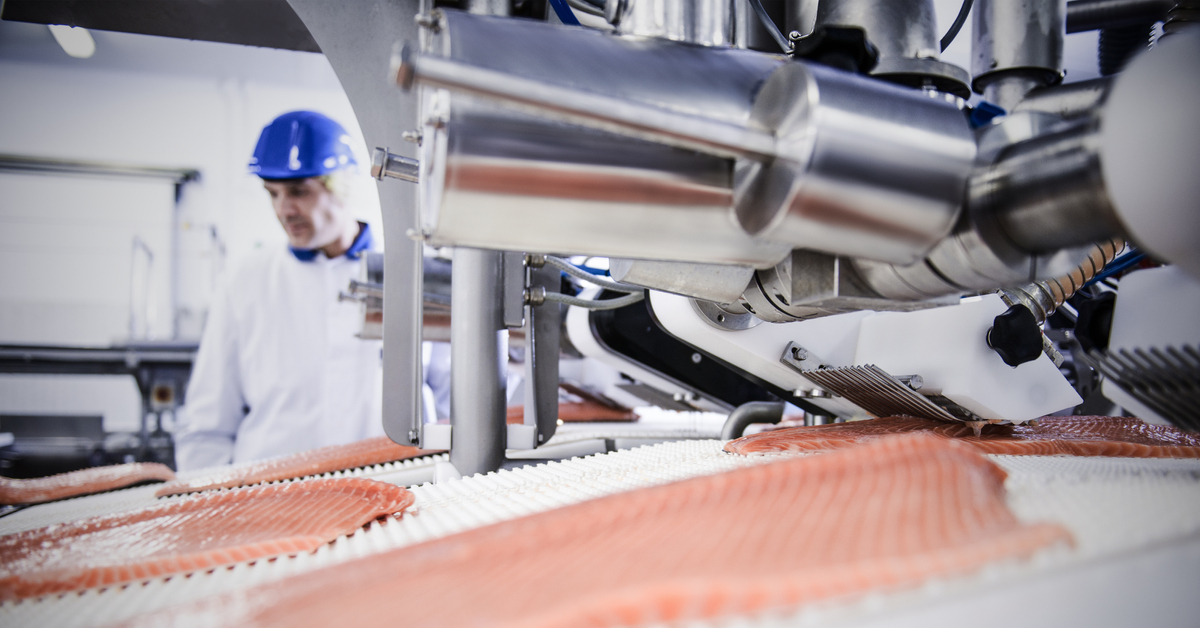 The future of protein processing: Infor ERP meets Marel MES