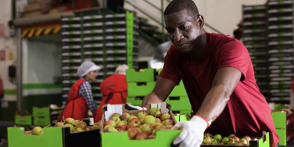 Infor Partners with Ivy Mobility Food & Beverage Route-to-Market